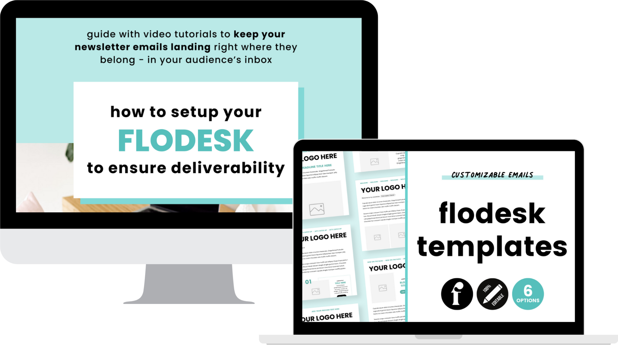 Flodesk 101: Pricing, Discounts, and Getting Started • Laugh Eat Learn